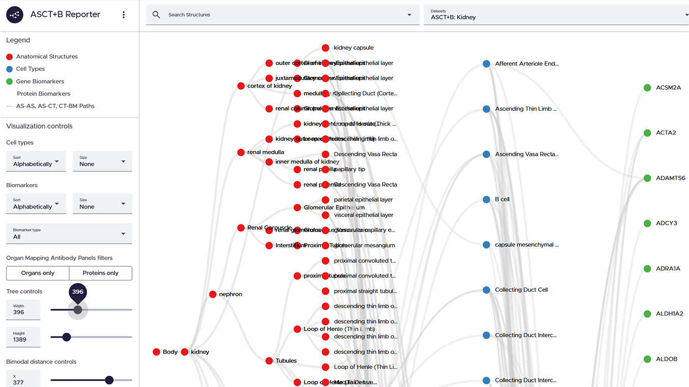 Human Reference Atlas Applications