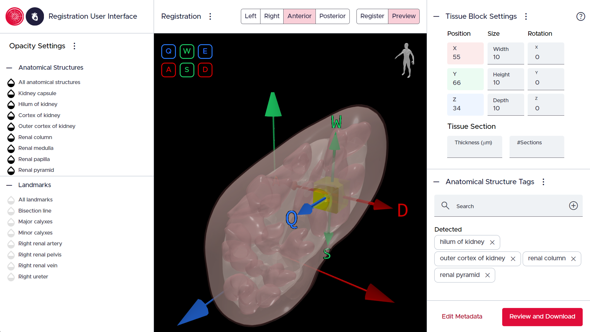 Human Reference Atlas Applications